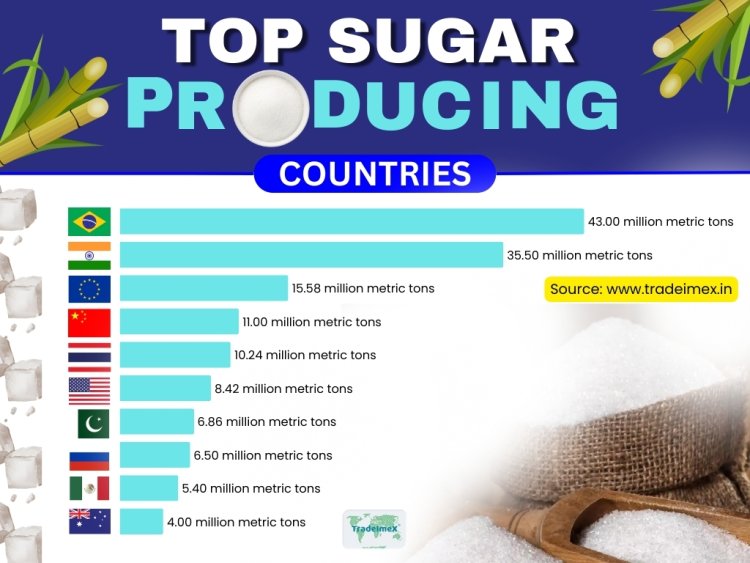 ≫ Understanding Zambia Sugar PLC: A Comprehensive Overview of the ...